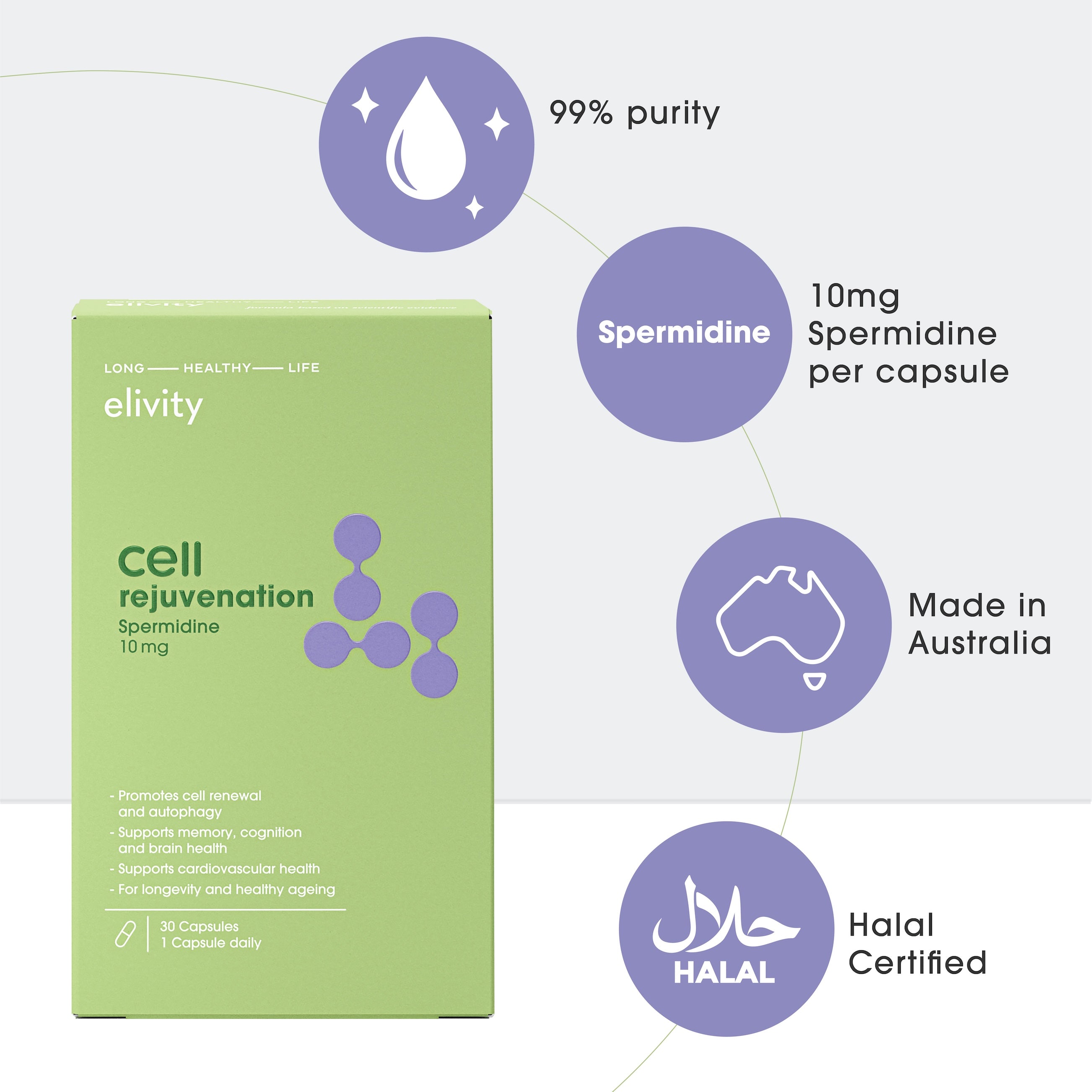 cell rejuvenation - 10mg Spermidine – elivity®